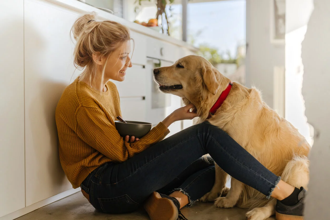 Keeping Our Homes Safe for Pets | VetScoop